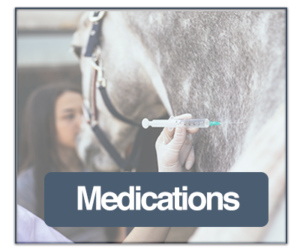 Equine | GEM Edwards Pharmacy